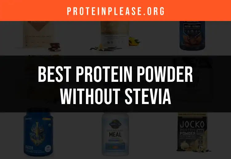 19 Clean Protein Powders Without Stevia Rich in Flavor